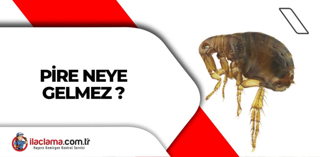 Pire Neye Gelmez ? - ilaclama.com.tr